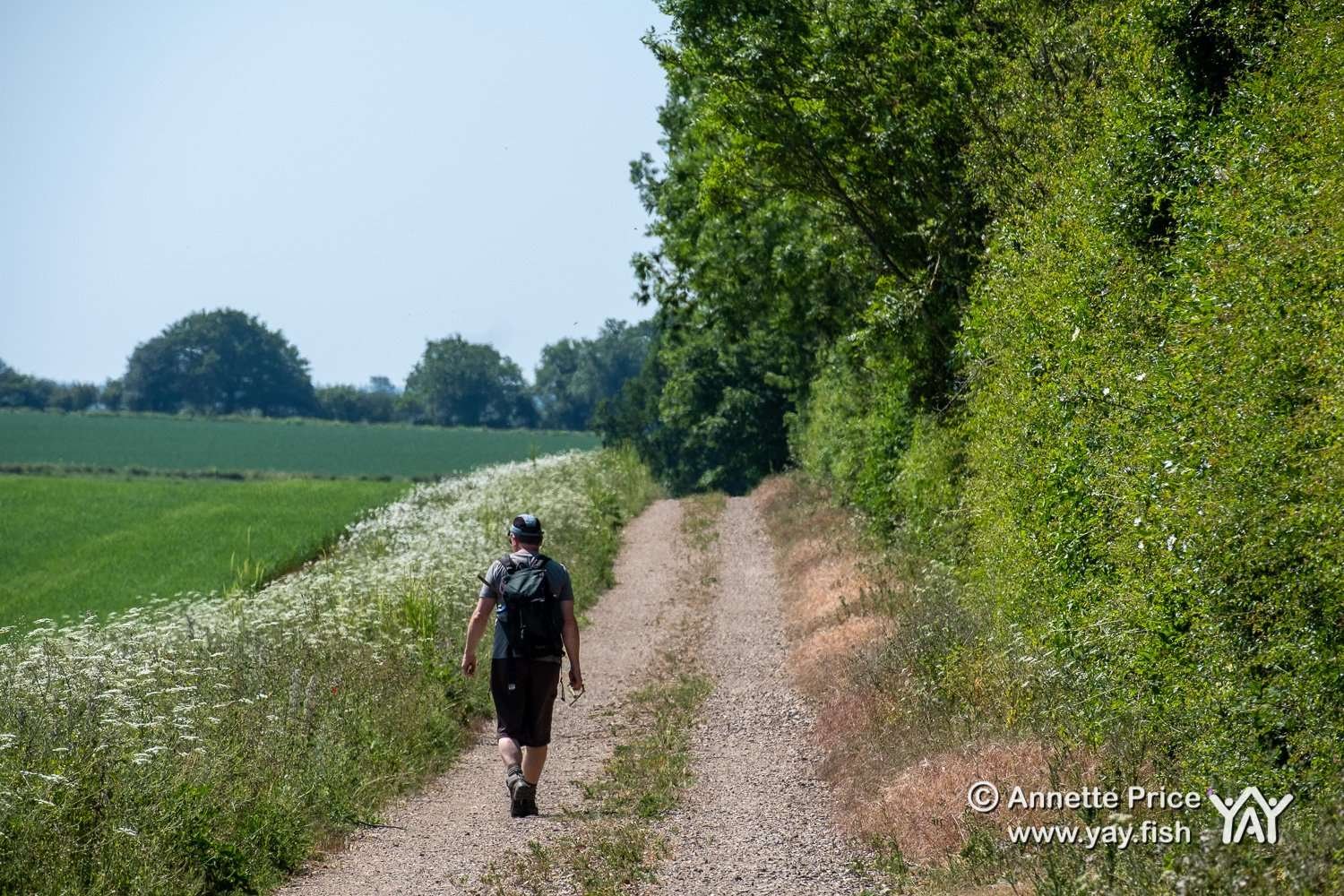 Greywell. Discover This Delightful Walk In Hampshire. Yay.