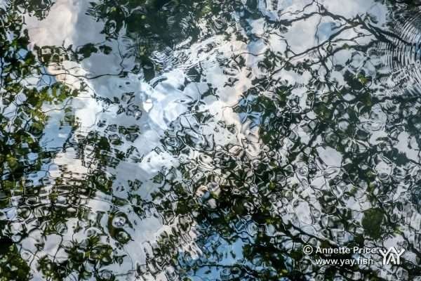 Greywell. Discover This Delightful Walk In Hampshire. Yay.