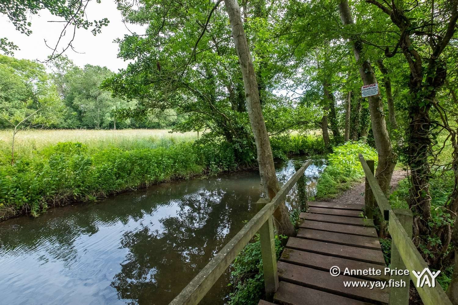 Hazeley Heath And Mattingley: An Enchanting Historic Walk In Hampshire ...